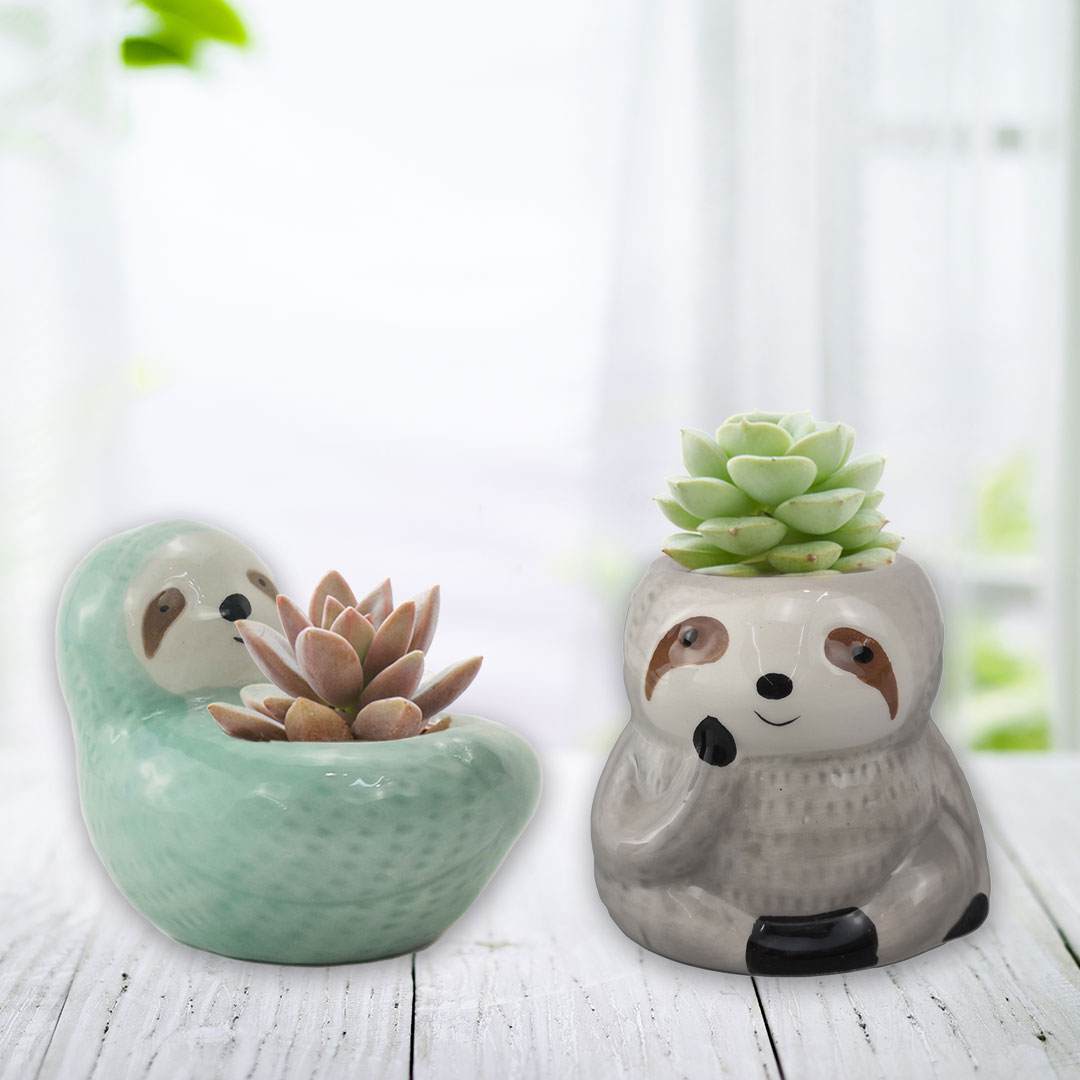 Lifestyles - Shiploads